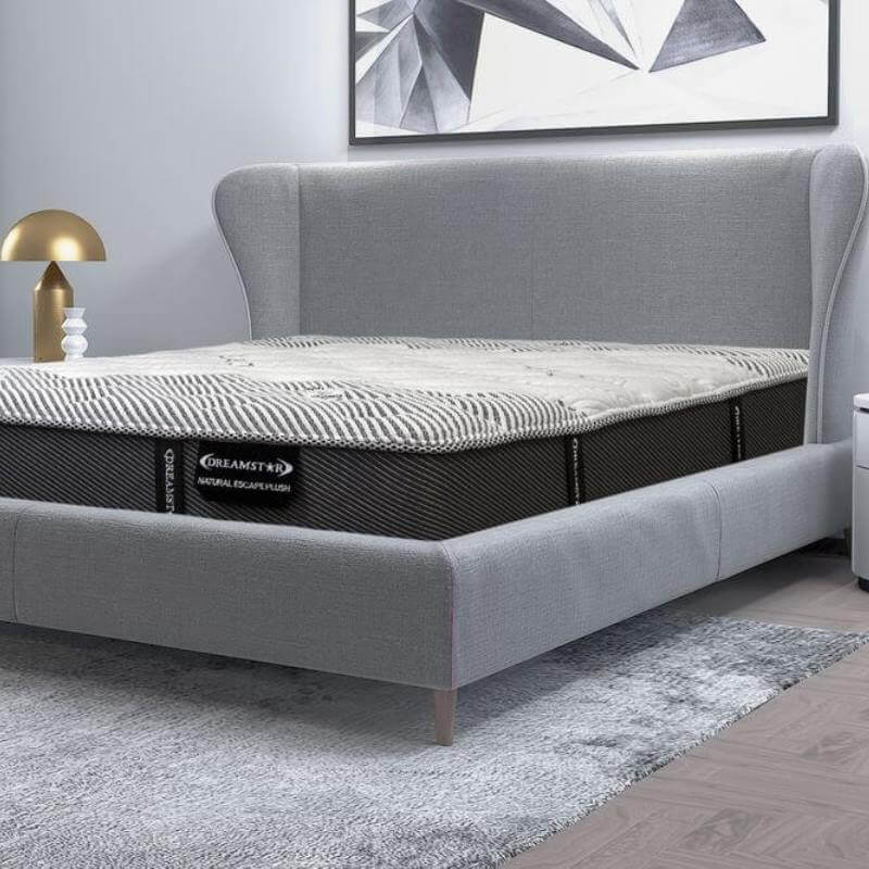 Dreamstar Natural Escape Mattress ☑️ Sleep Masters Canada